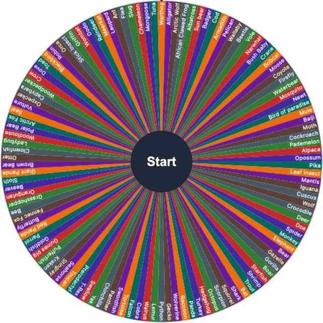 Random Letter Generator Wheel - Spin & Pick a Random Letter!